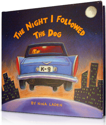 Storyline Online - night_followed_dog